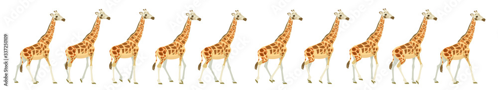 Giraffe run cycle animation sequence, frames for animation Stock Vector | Adobe Stock