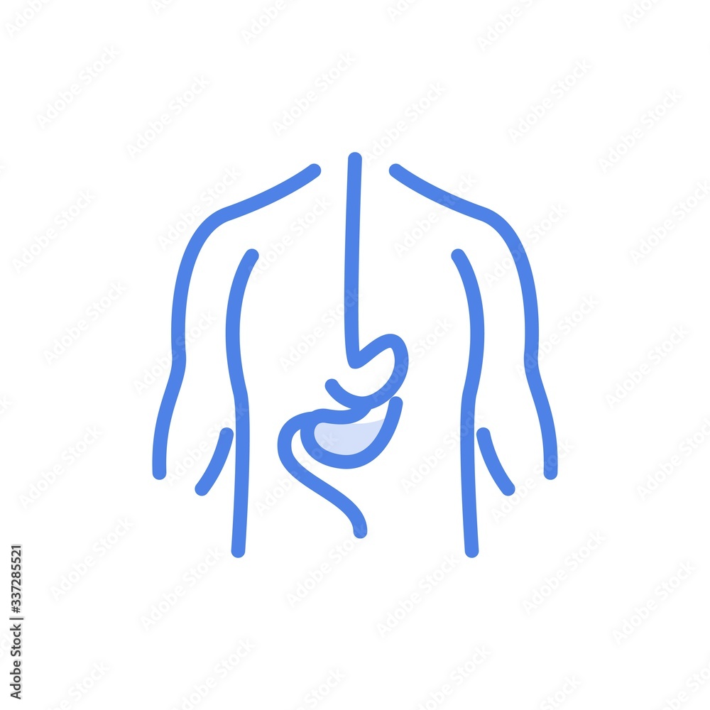 Vector abstract minimal human body anatomy internal organs schema ...