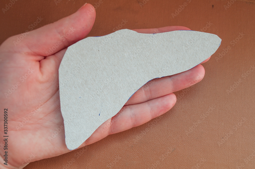 Hand holds the liver. World Hepatitis Day, World Liver Day, Cancer of ...