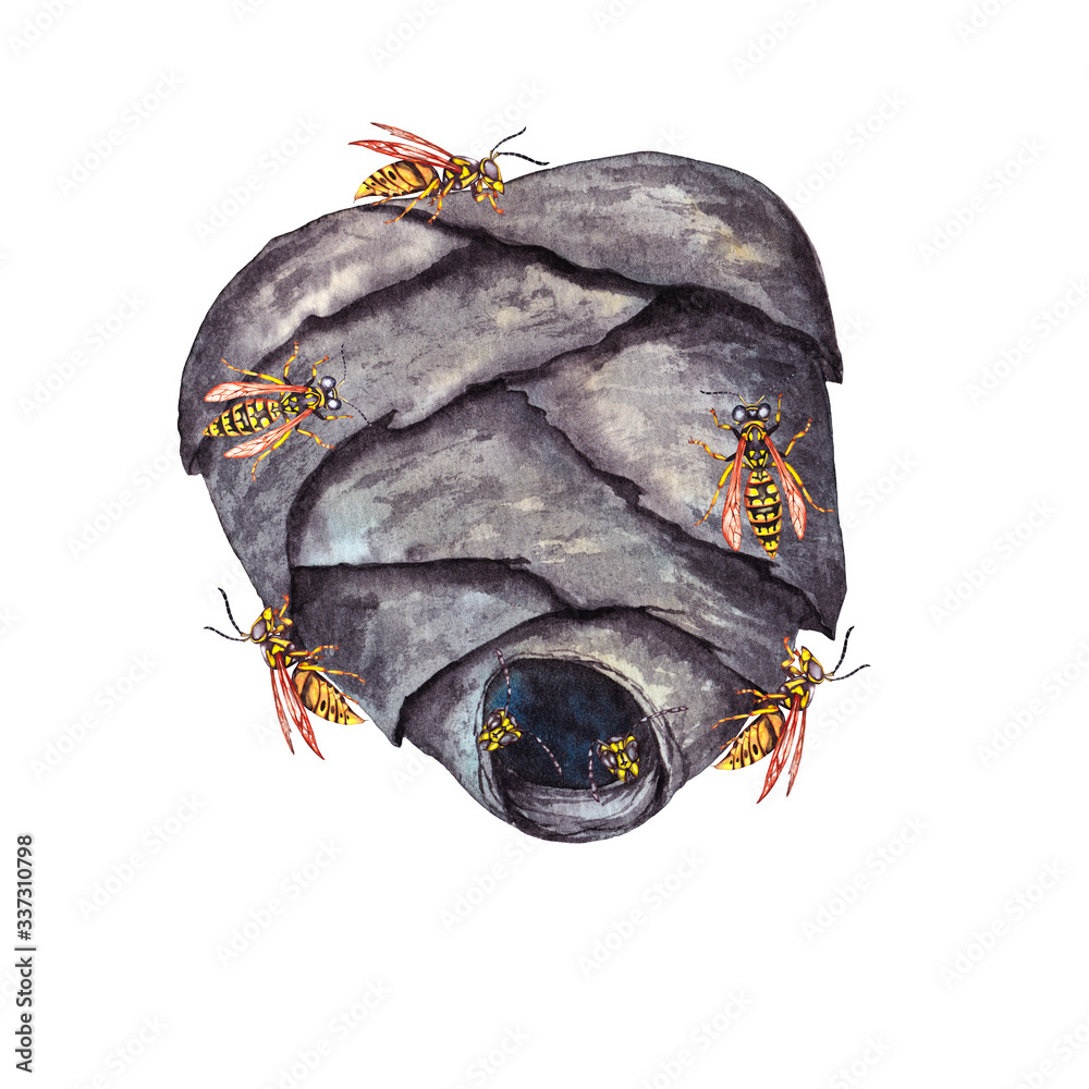 Big realistic wasp's grey nest with wasps on the surface and inside ...