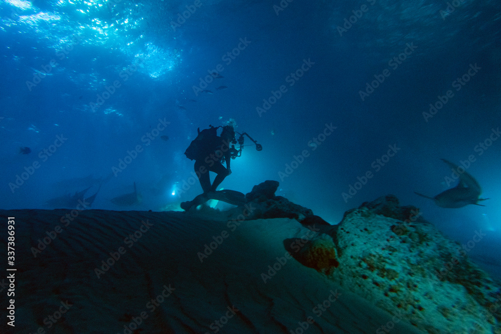 diving in shark infested water at night on alimatha maldives site Stock ...