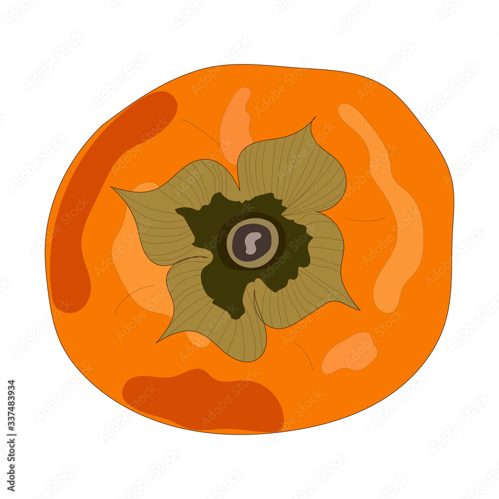 Persimmon whole. Vector stock illustration of fruit persimmon isolated ...