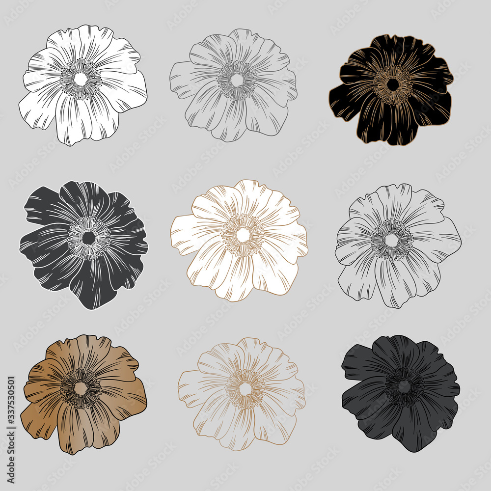 Elegant monochromatic flowers isolated on white background. Hand drawn ...