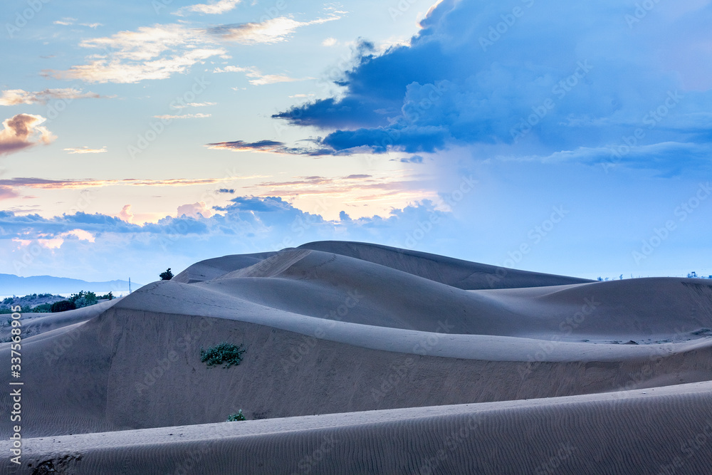 Cham women in traditional dress walking across sand dunes to collecting ...