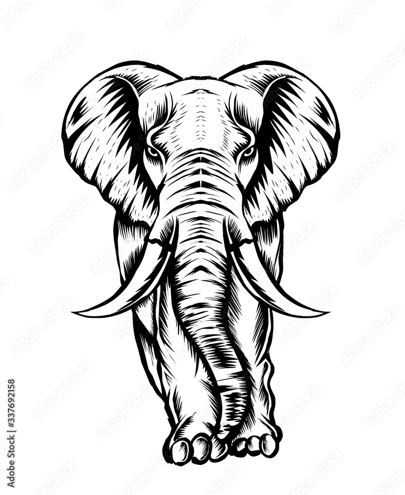 Adult elephant full body vector illustration art Stock Vector | Adobe Stock