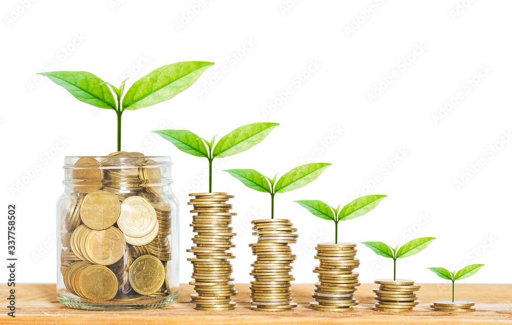 coin stack money saving concept. green leaf plant growth on rows of ...