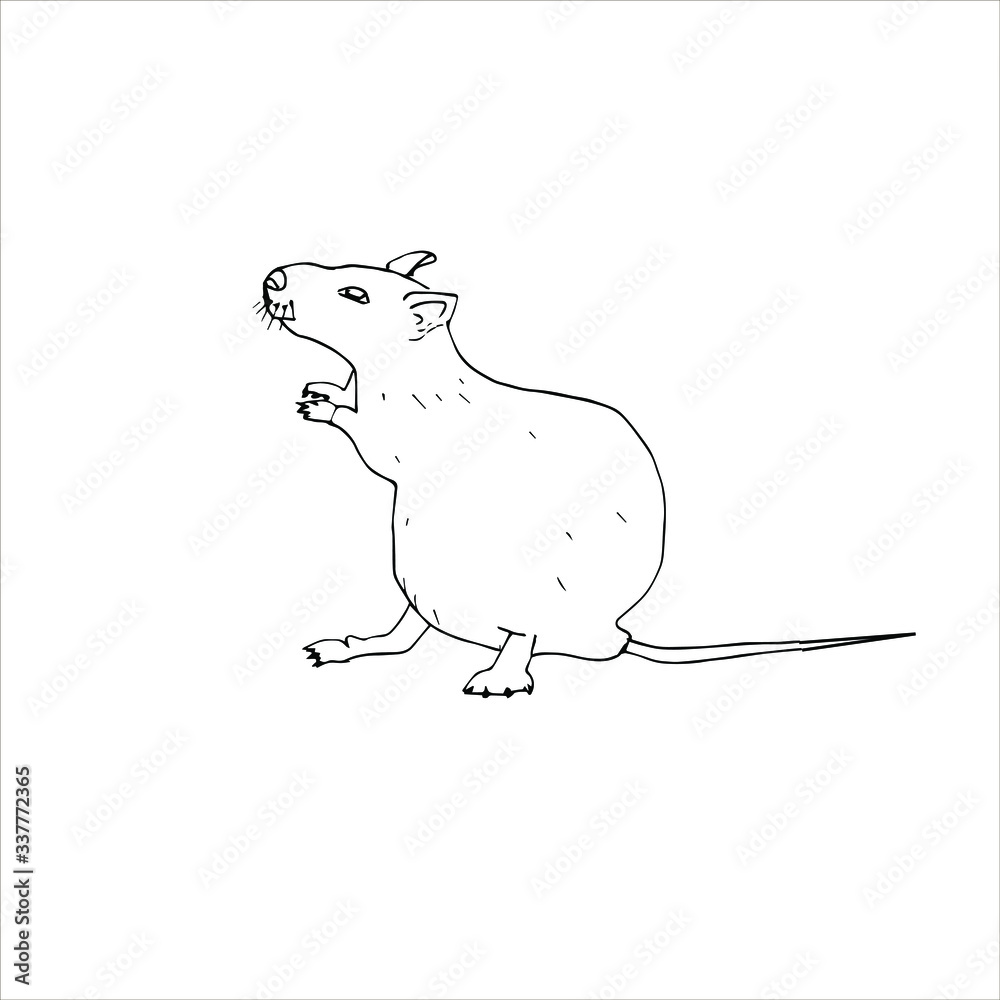 rat of outline. Lab rat hand drawn outline doodle icon. Mice vector ...
