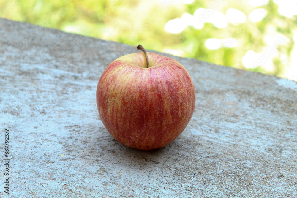 An apple is a sweet, edible fruit produced by an apple tree (Malus ...