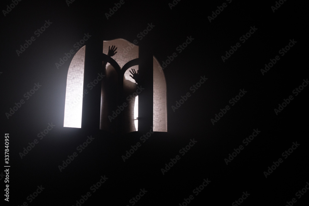 Silhouette of an unknown shadow figure on a door through a closed glass ...