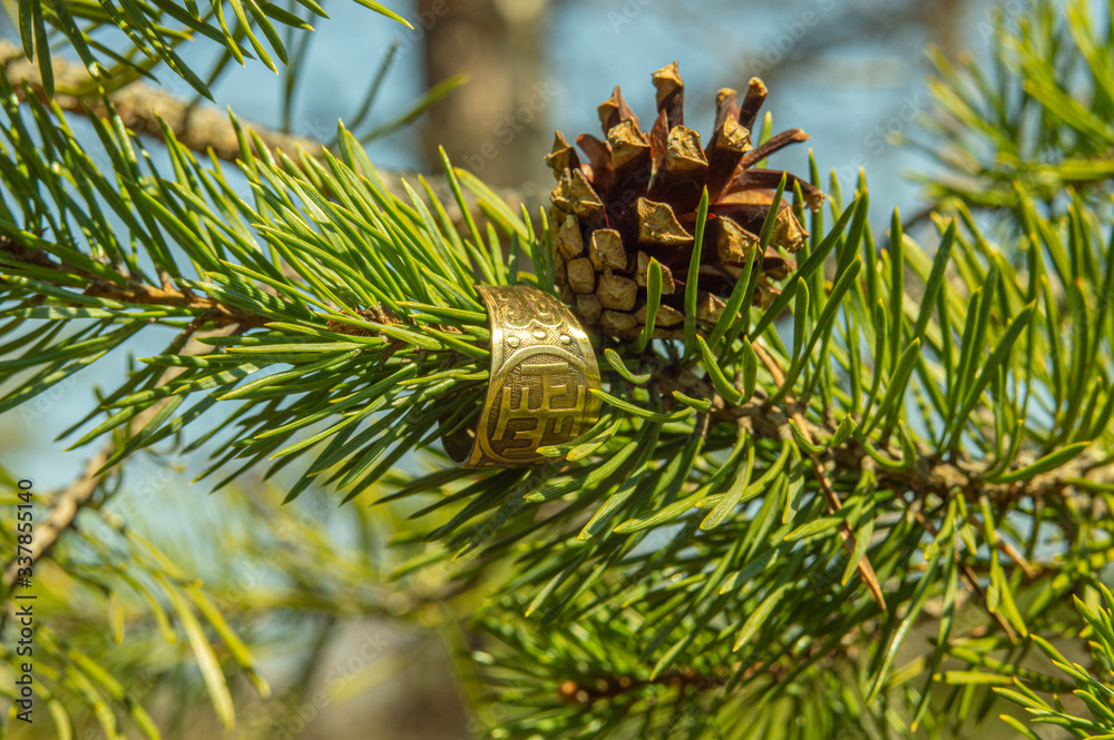 Gold ring with the image of the Slavic rune Kolovrat meaning the ...