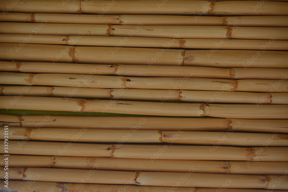 Textura de cañas Stock Photo | Adobe Stock