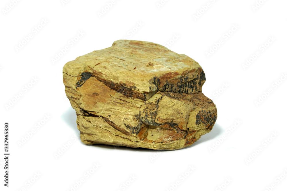 Shale stone isolated on white background. Shale is a sedimentary rock ...