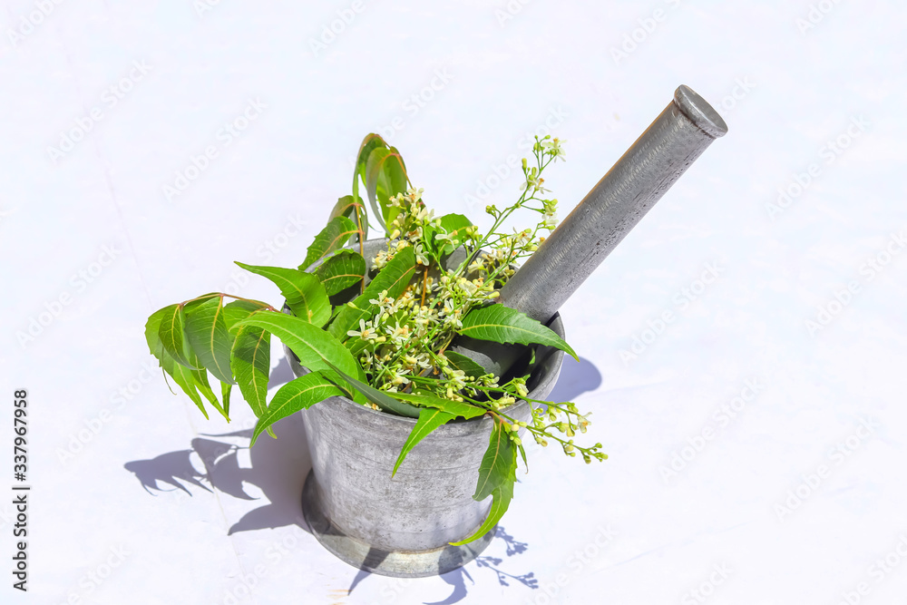 Mortar and pestle with medicinal neem leaves on white background ...