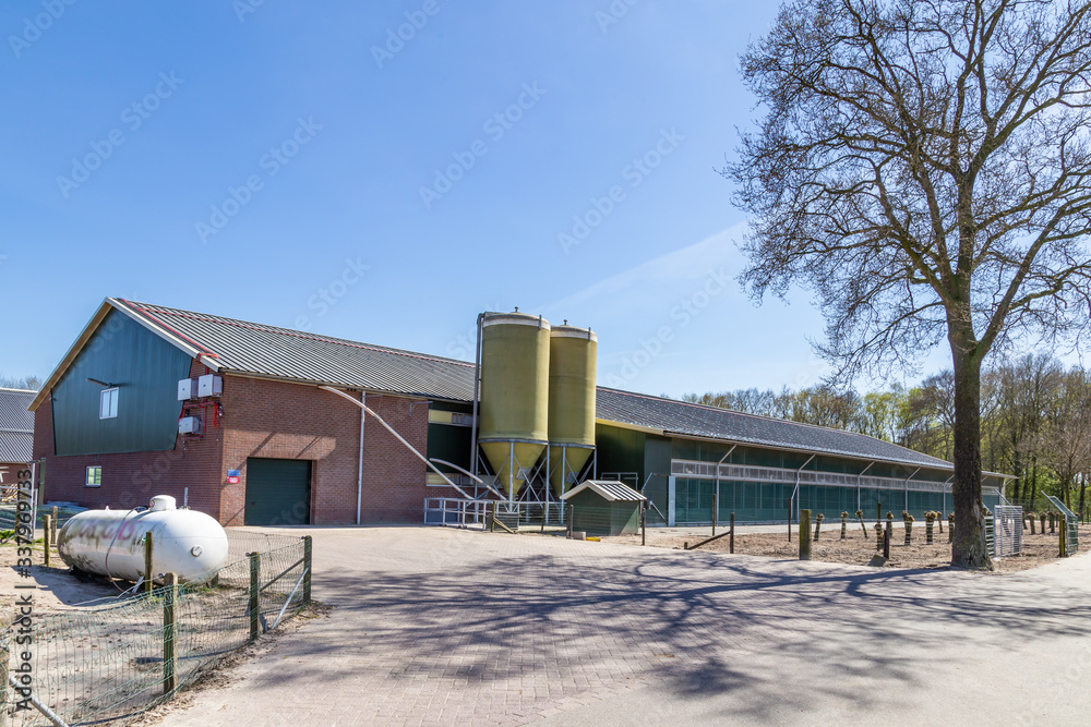 Large chicken farm with indoor facilites for poulry breeding and egg ...