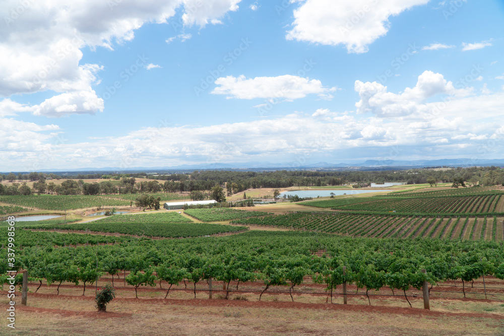 Hunter Valley Wine Region Australia. DRONE aerial view. Vineyards ...