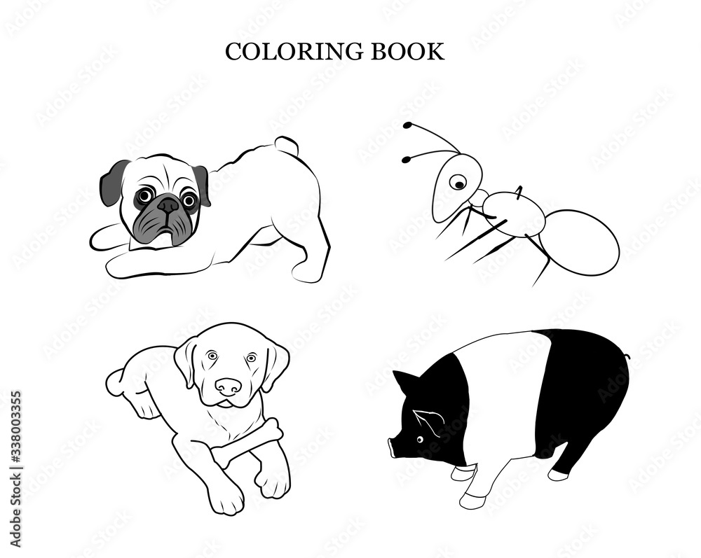 outline drawing of animals at zoo for coloring book,education concept ...