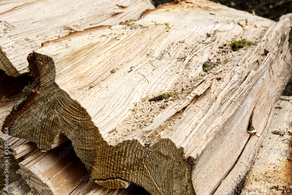 Foto de Chop and stack firewood for collection in the Black Forest do ...