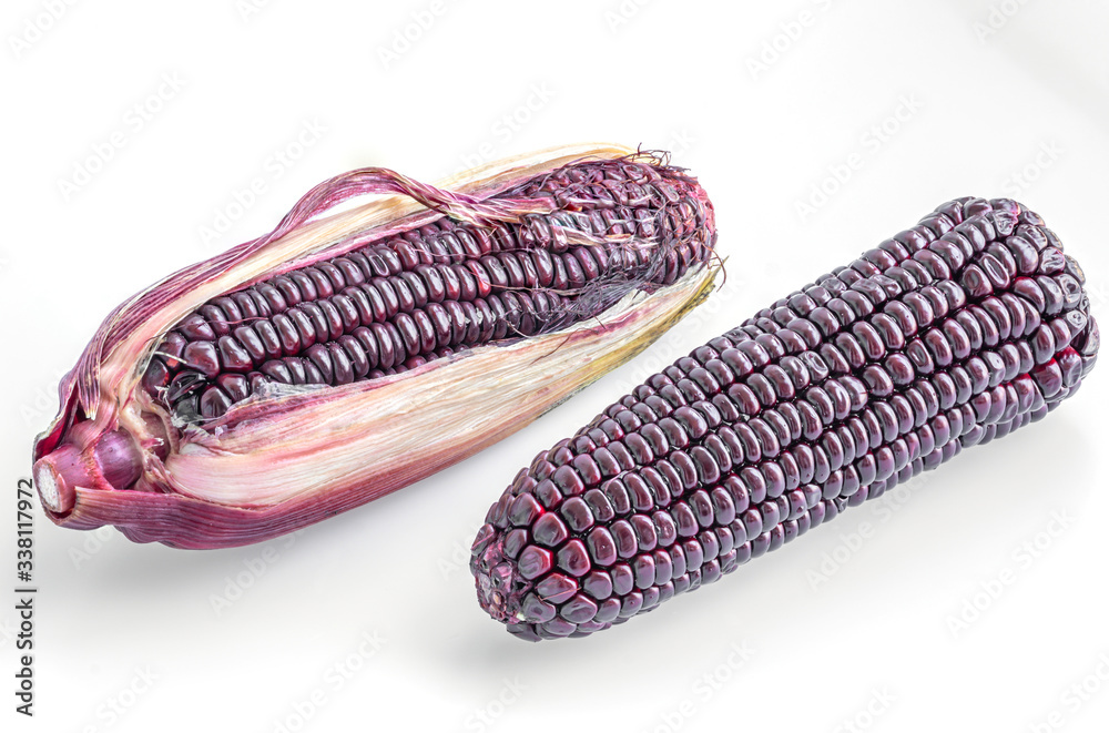 Close up Siam ruby queen corn isolated on white background. It can be ...