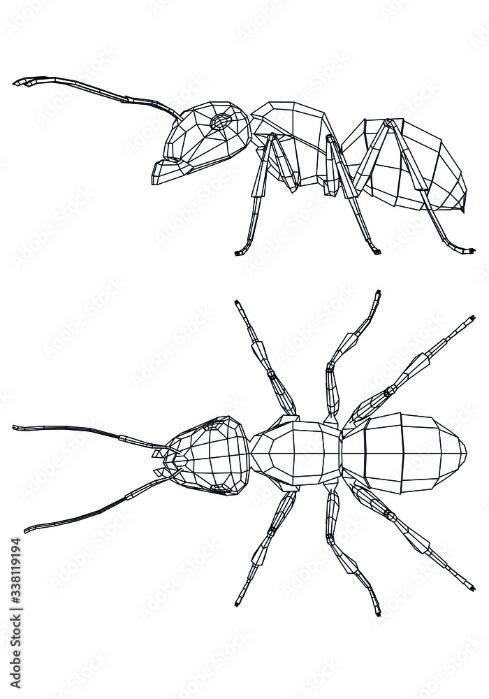 Vector illustration of a geometric polygonal ant. Abstract linear ...