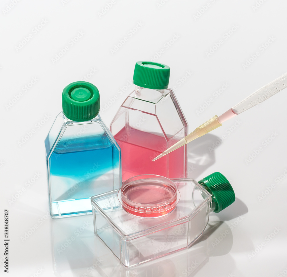 Medical laboratory tools isolated on white background. Plastic ...