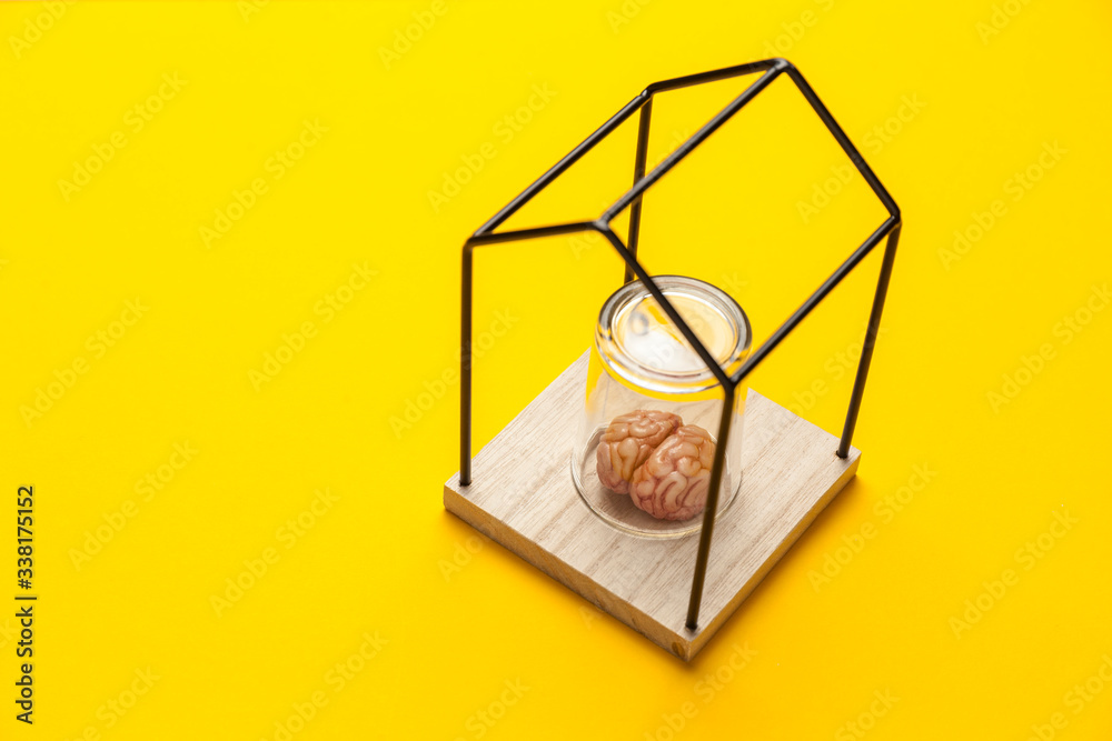 Human brain under glass flask isolated in house on yellow background ...
