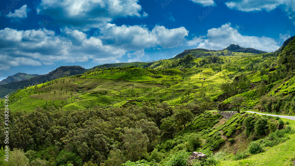 Munnar Valley, Kerala, India Stock Photo | Adobe Stock