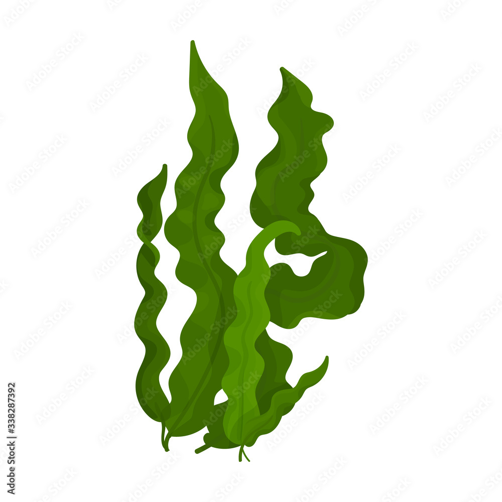 Kelp Vector