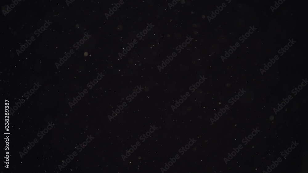 4k Natural Dust Organic Floating particles on black background. Dust in ...