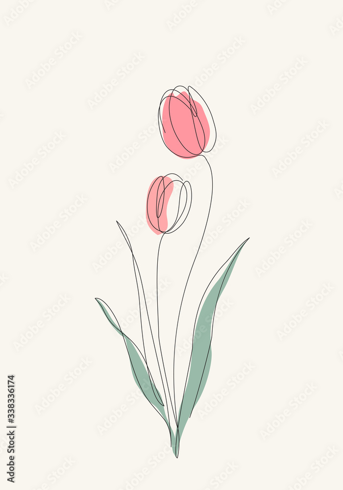 Two Tulips flowers line drawing art. Minimalist art. Abstract Vector ...