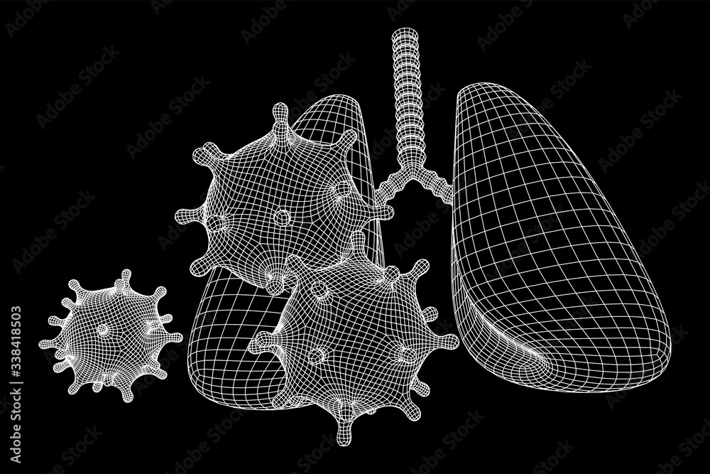 Corona Virus and Lungs with trachea bronchi internal organ human. Covid ...