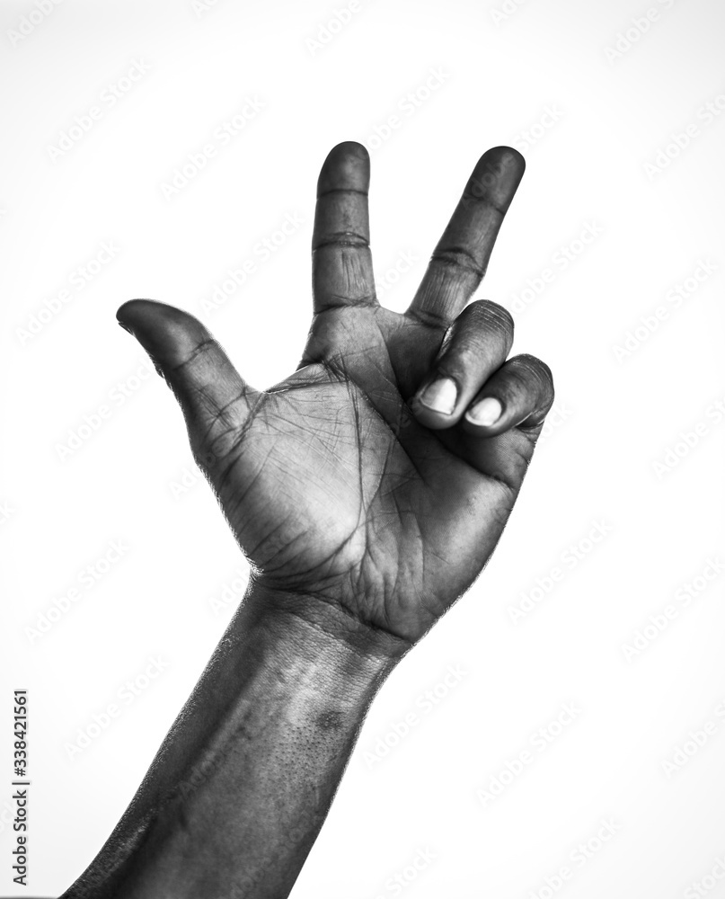 main, isolé, blanc, poing, doigt, bras, humain, geste, pouce, signes ...
