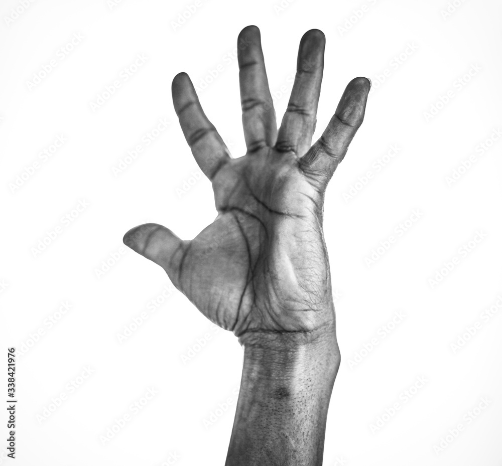 main, isolé, blanc, poing, doigt, bras, humain, geste, pouce, signes ...