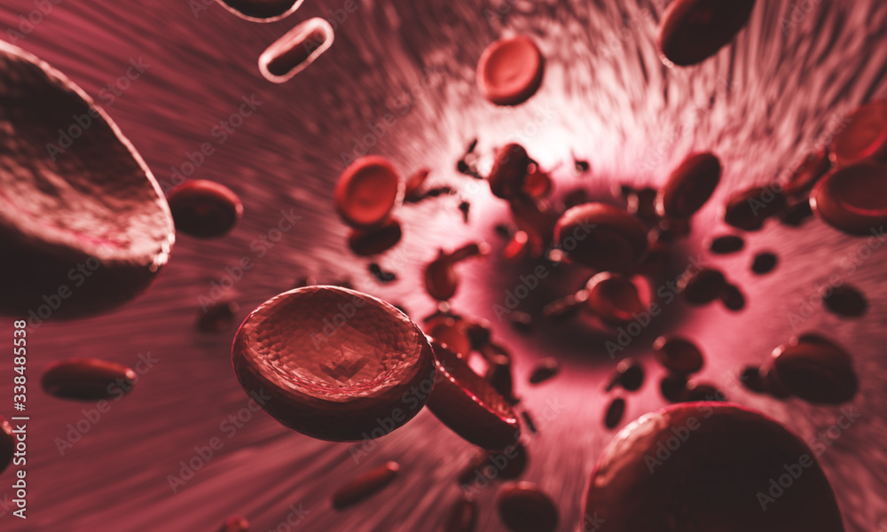 Blood cells in organism. Medical, science illustration Stock ...