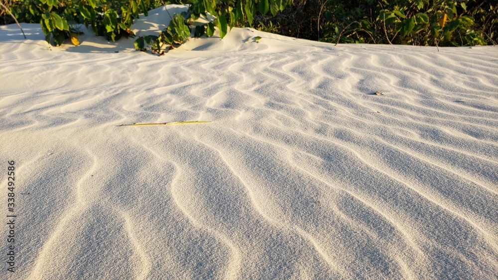 areia, praia, branca, natureza, mar, vida, férias, pegada, pé Stock ...
