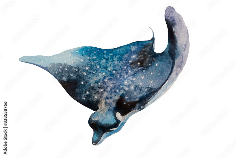 Watercolor illustration of common eagle ray as Myliobatis aquila ...