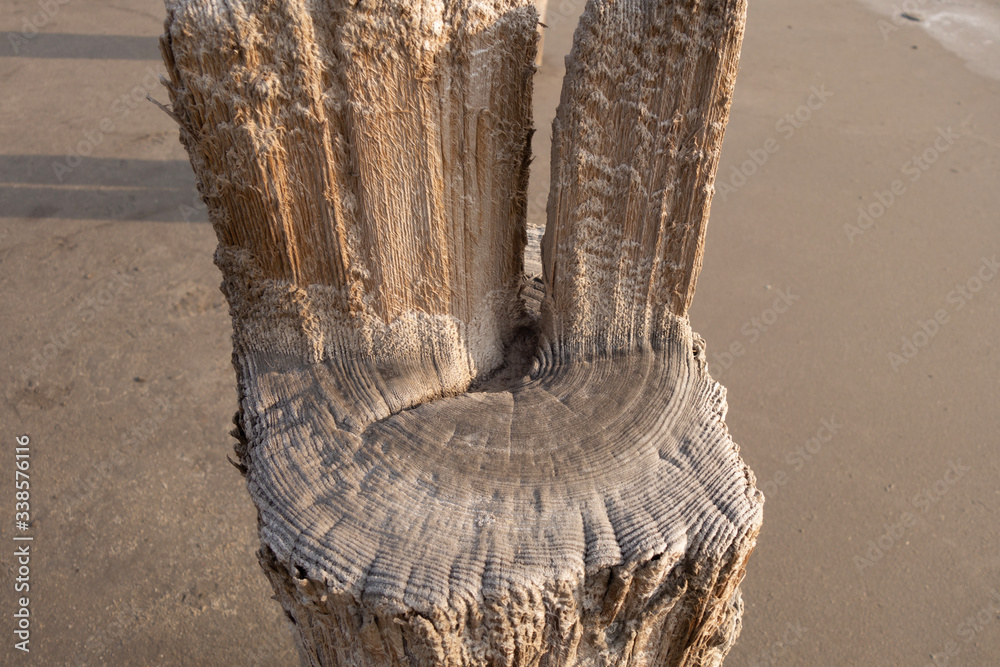 Fancy texture of ancient wooden pillars covered with salt particles ...