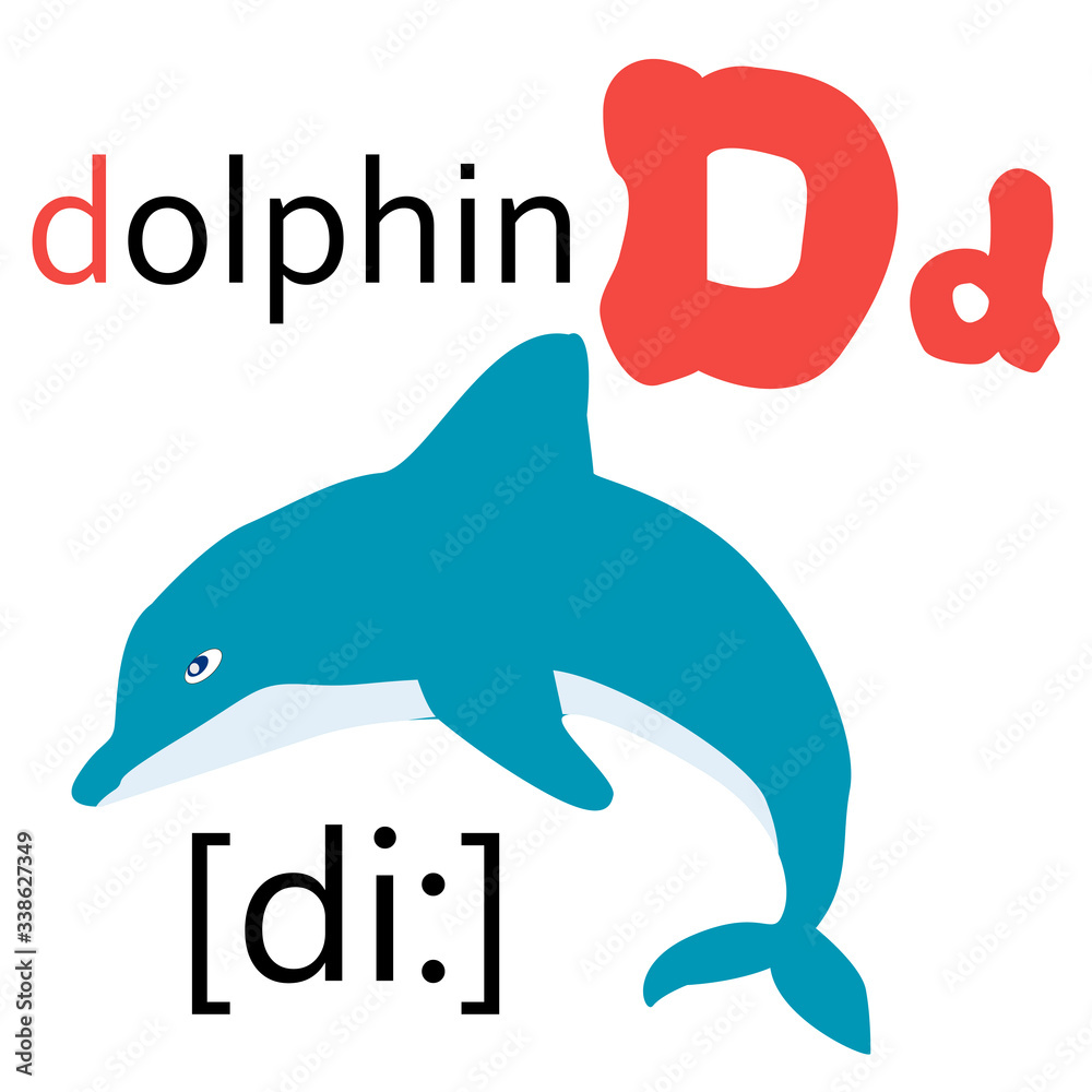 English alphabet letter d with Dolphin and transcription Stock Vector ...