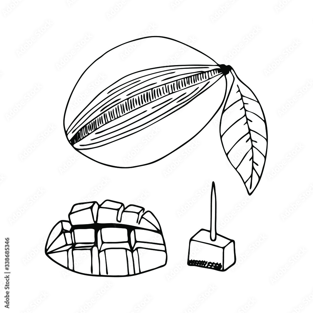Hand drawn black line of mango. Vector illustration. Stock Vector ...