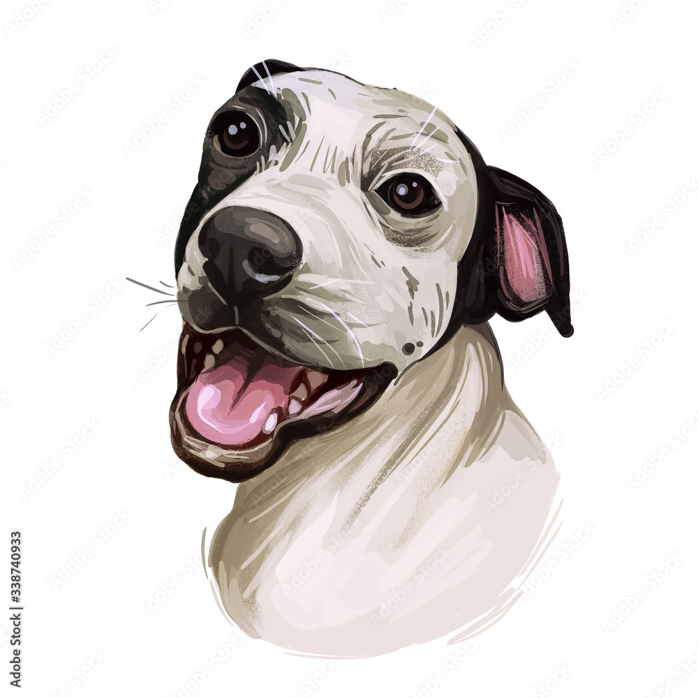 Hawaiian Poi Dog extinct breed of pariah dog from Hawai. Hand drawn ...