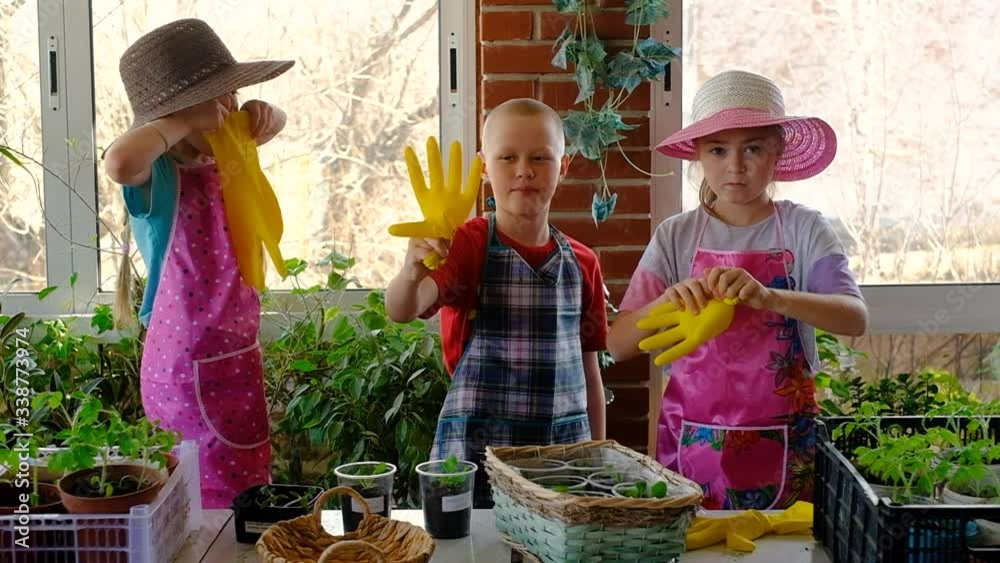 three gardener children fooling around with gloves on the veranda ...