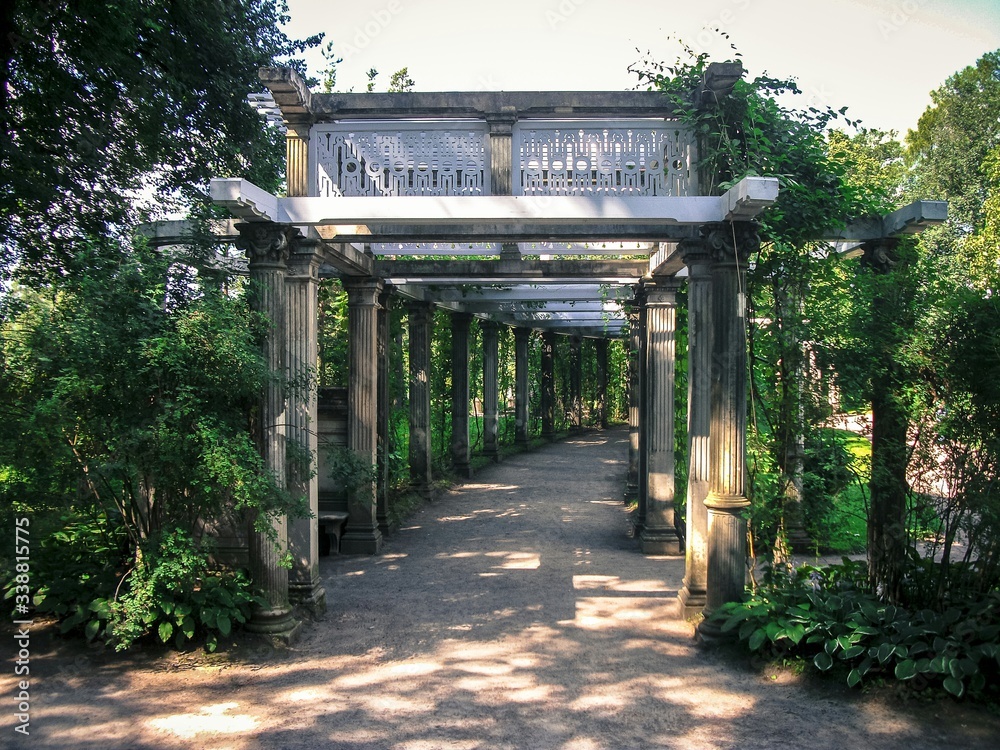 Columned Pathway Along Plants Stock Photo | Adobe Stock