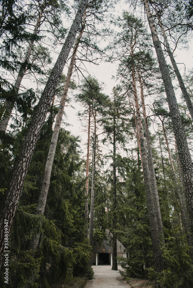 This Stockholm cemetery (The Woodland Cemetery) was created between ...
