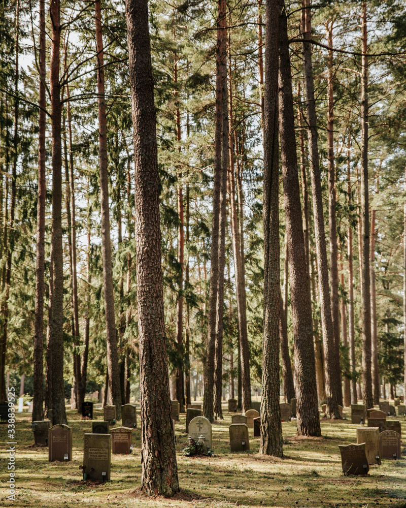 This Stockholm cemetery (The Woodland Cemetery) was created between ...