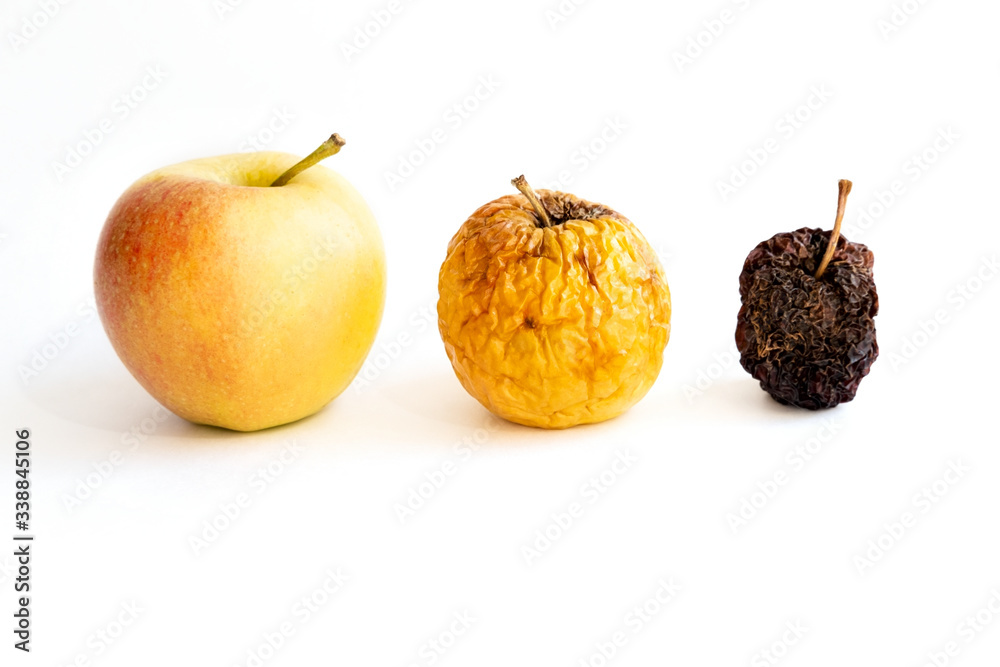 Three apples: young, old, dead. Concept of aging of human skin of ...