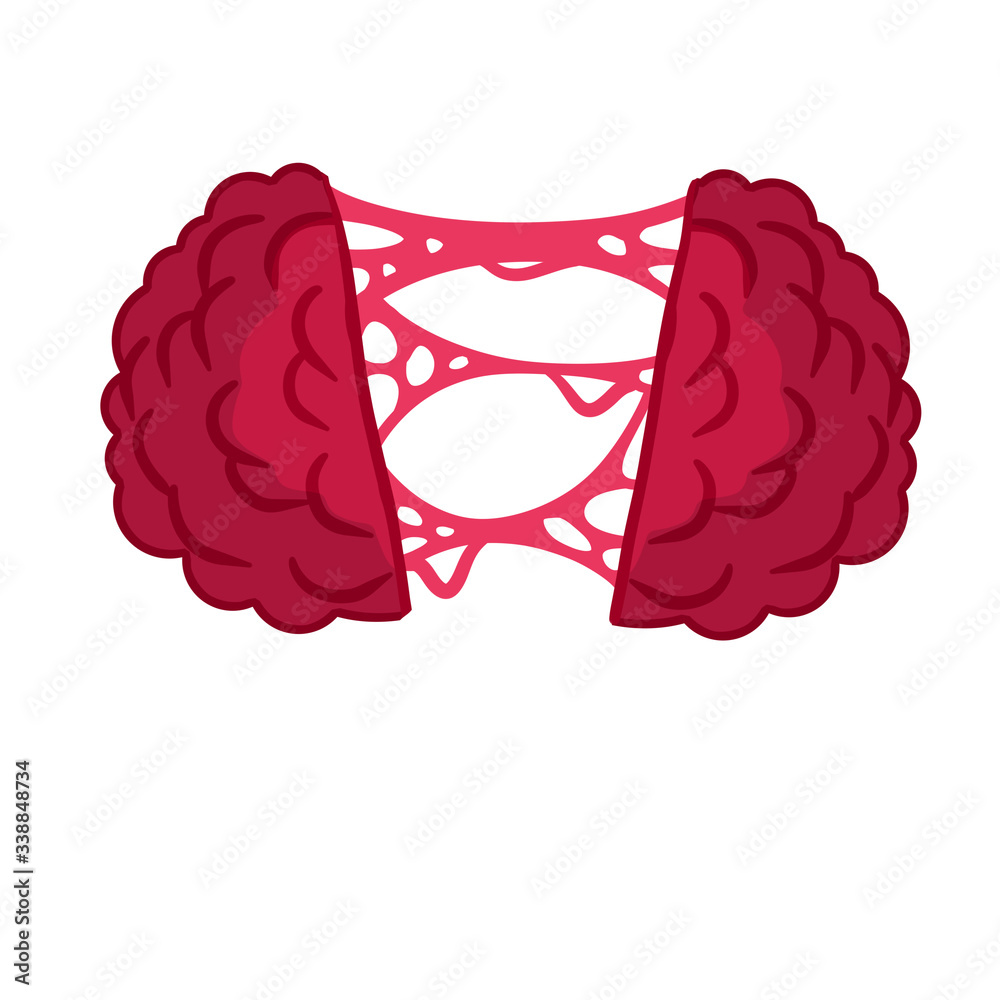 Human brain. Cut organ with pink slime. Funny object. Right and left ...