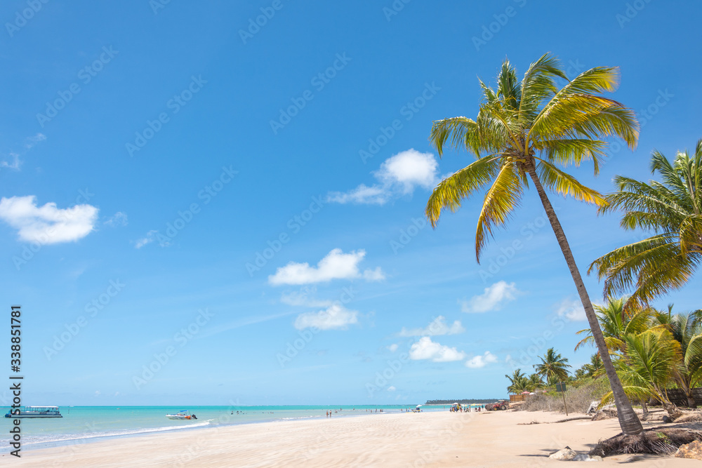 Coqueiros em praia do nordeste brasileiro com céu azul e nuvens Stock ...