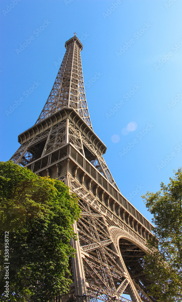 Eiffel Tower with trees Stock Photo | Adobe Stock