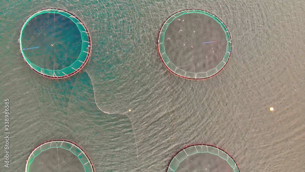 Sea fish farming in round net with floating cages in Iceland. Overhead ...