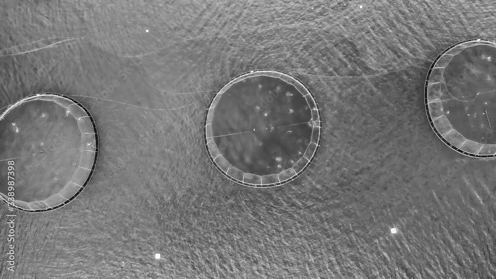 Sea fish farming in round net with floating cages in Iceland. Aerial ...
