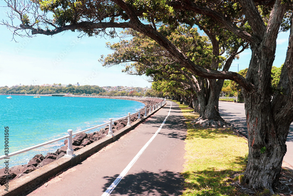Auckland cycle and walking track, following the perimeter of the ...